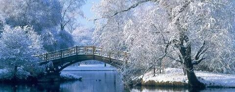 ОЛЕГ ДОБРЫЙ (Оригинал).