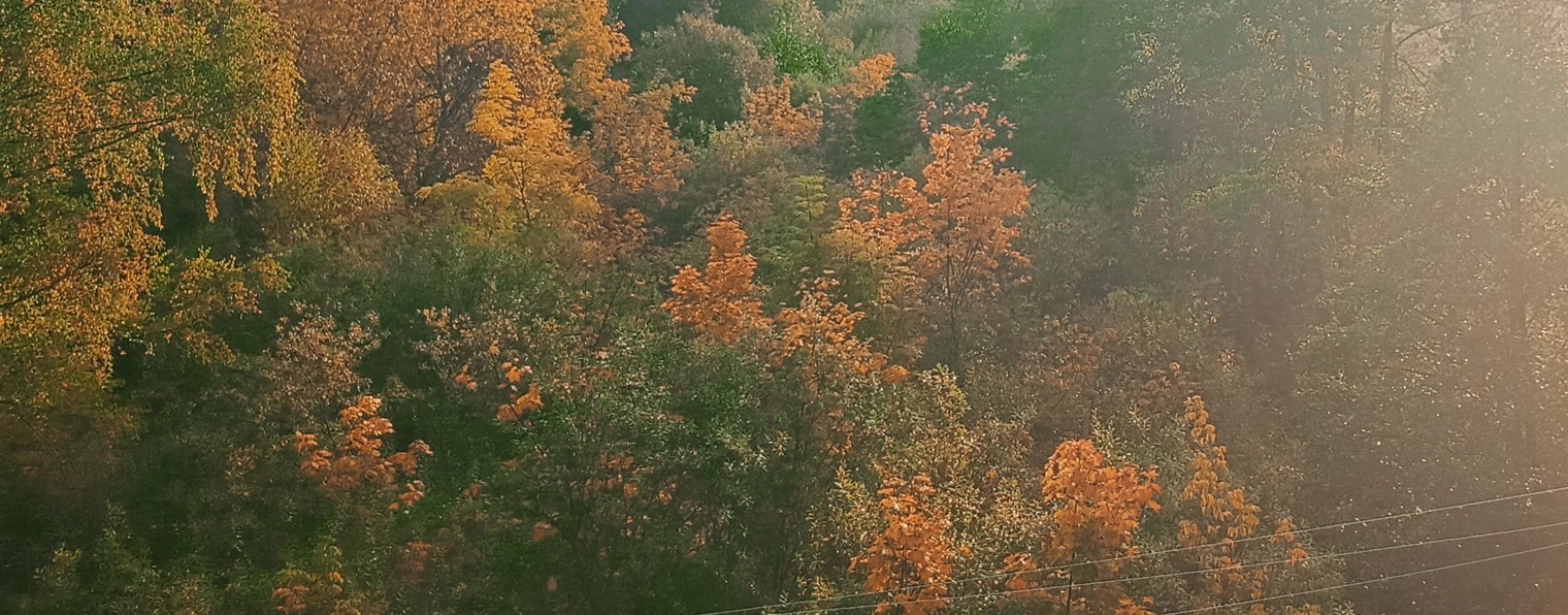 vdohnovenie_princessi_v