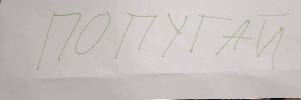 Любопытный попугай