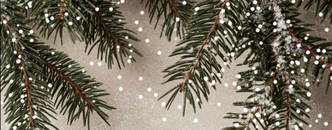 Библиотека №3 г. Брянска