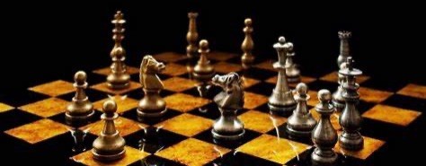 Международная Школа Развития Сознания   Шахматы