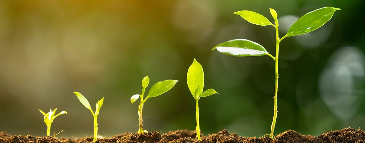 Сеть центров раннего развития "Росток надежды"