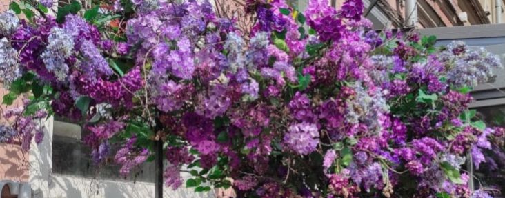 Семья Скляренко