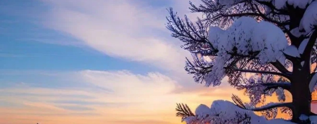 //❄️♥𝙼𝚊𝚜𝚑𝚊𝙳𝙸𝚈♥❄️//