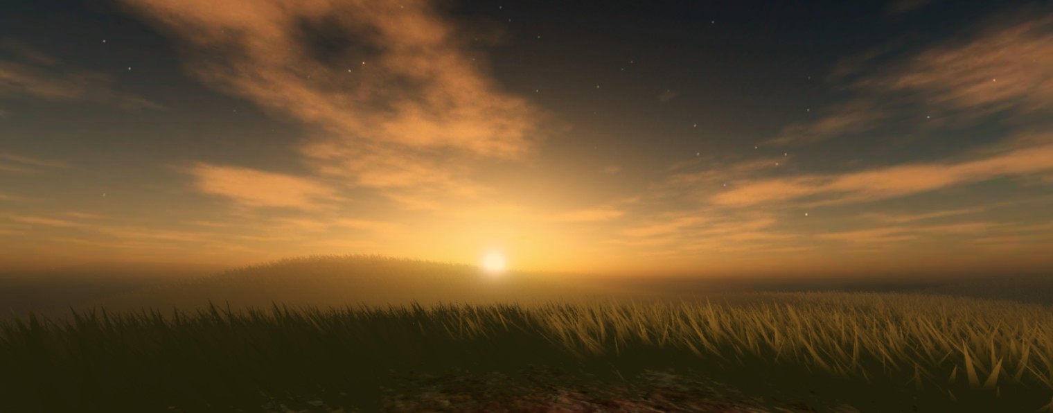 CAT PLAY / Кот играет.