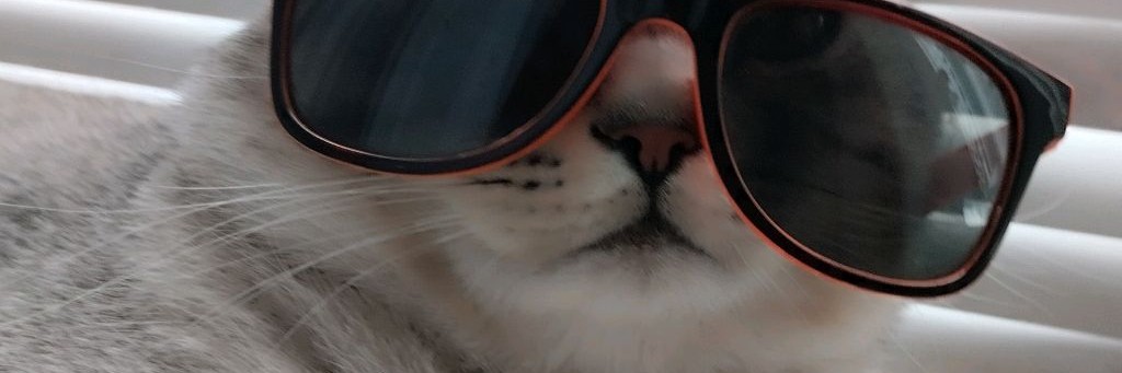 Подпишись 🙏