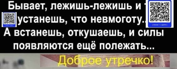 🦉Николаич 🏇 🇷🇺 (@ZVN🎠)