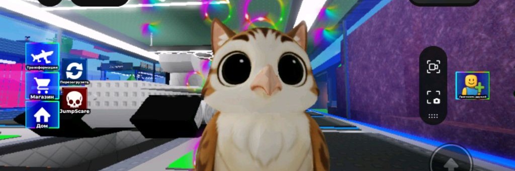 Meowl