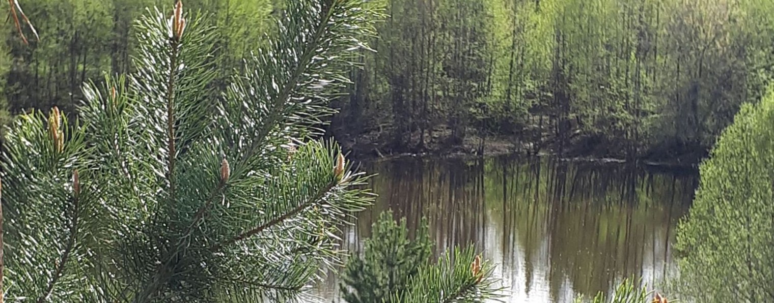 Варяжки и не только