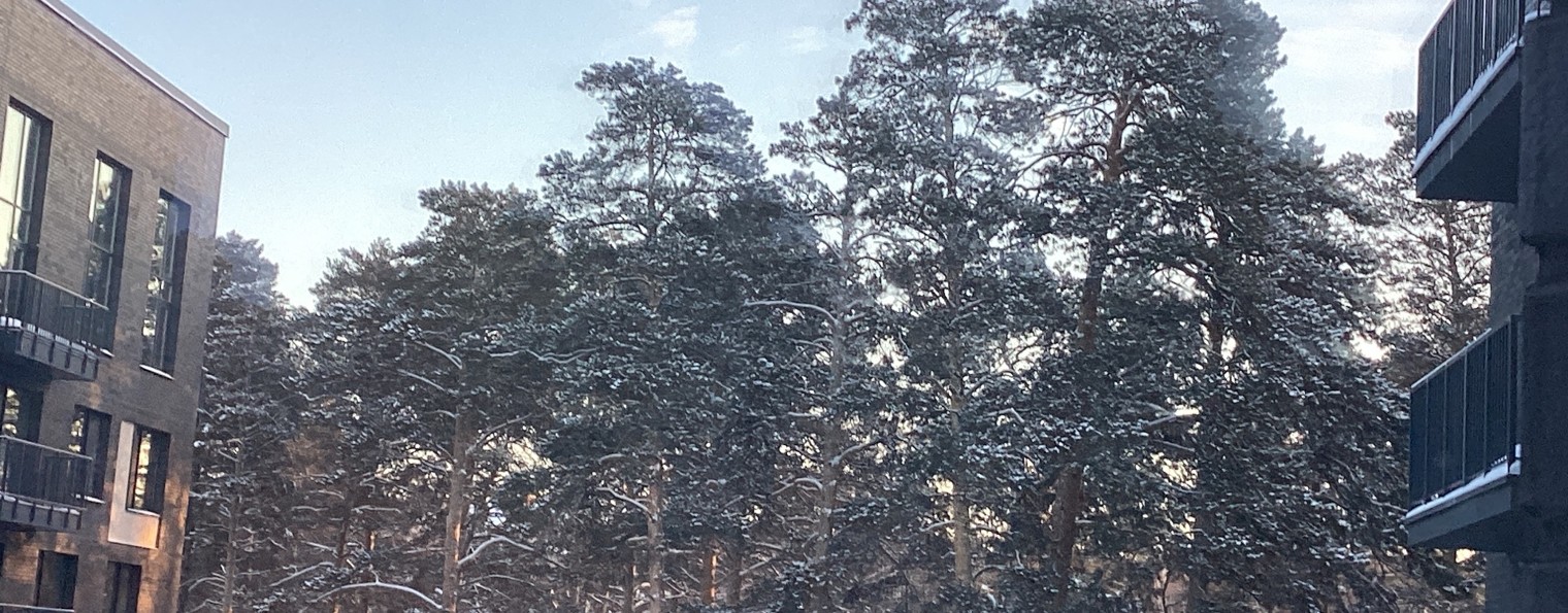 Тока Настя 🍷