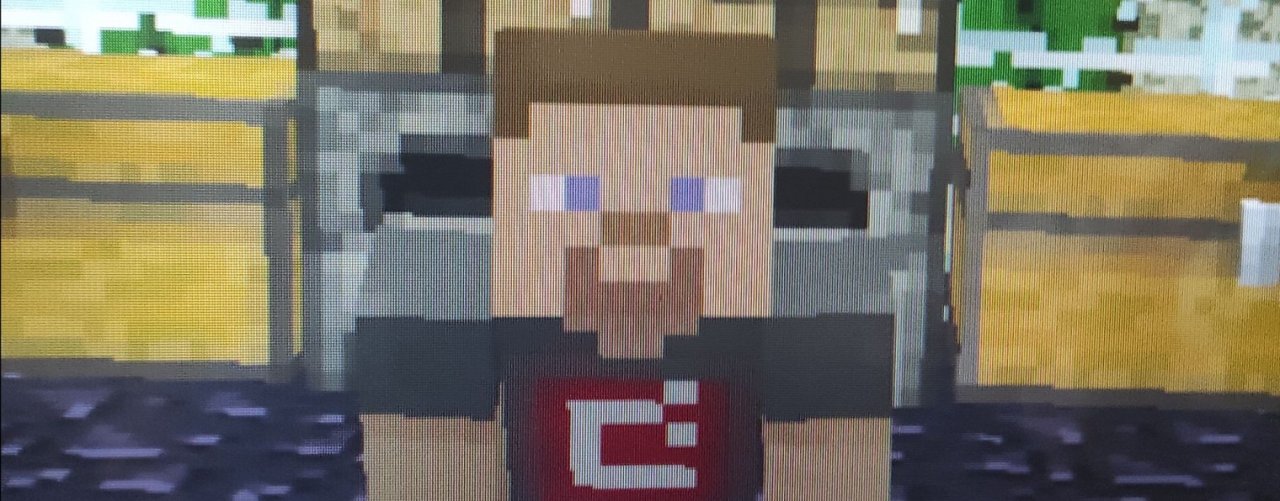 Стив-разработчик