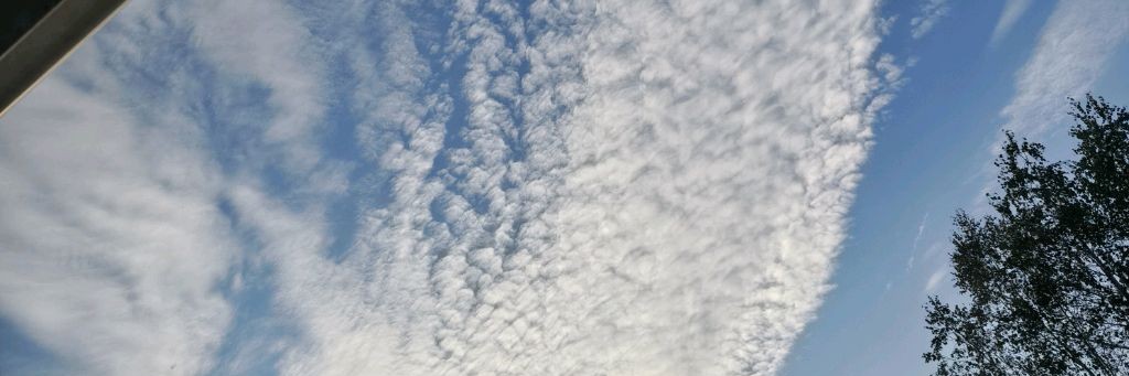 Екатерина Александровна Кузнецова-Леонтьева(поэтес