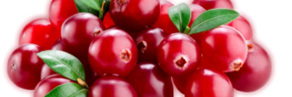 Помойка Продакшн