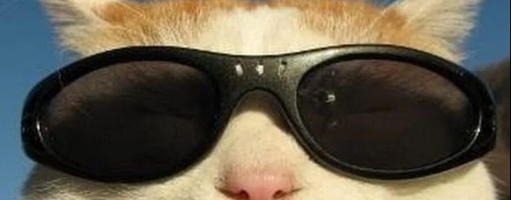 Максимка Игры Топ