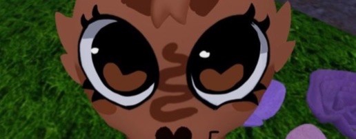 🎄🍫🐇_Cacoa_🐇🍫❄️