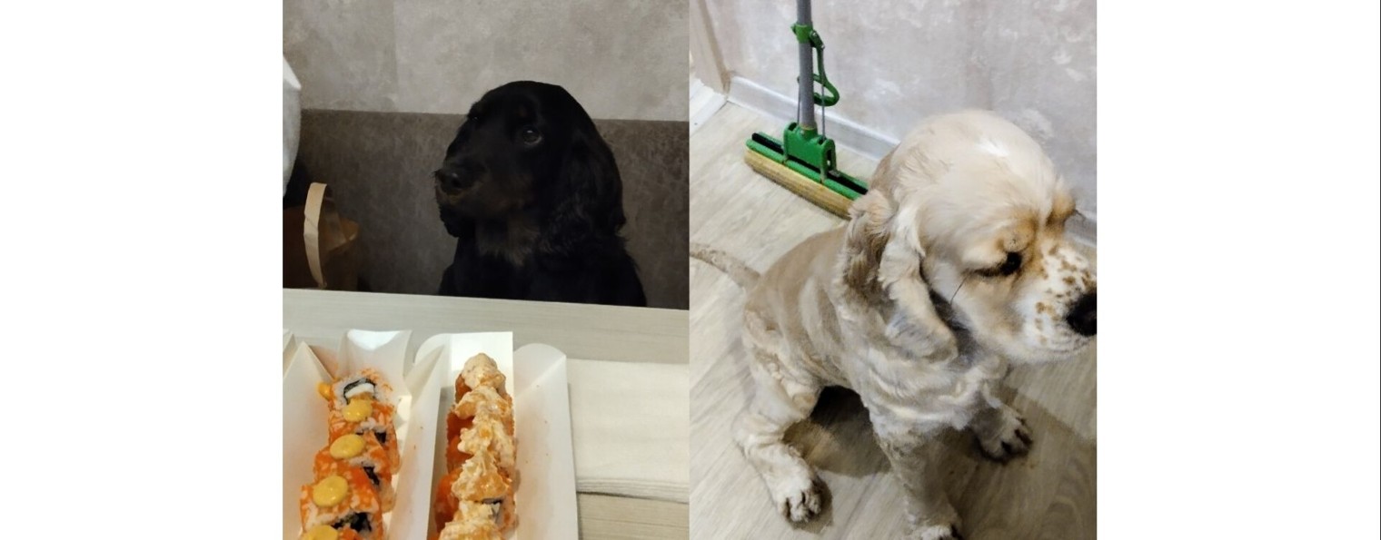 Собачка баффи