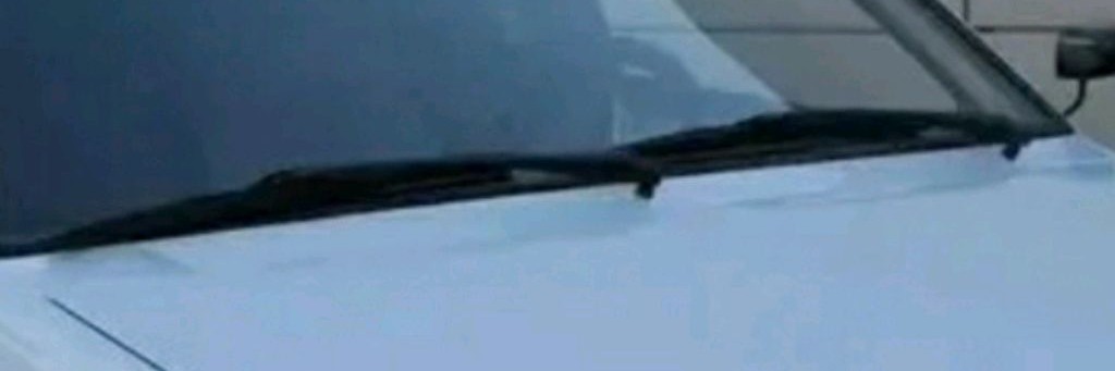 Николаевские Голуби  Минаков Александр Владимиров