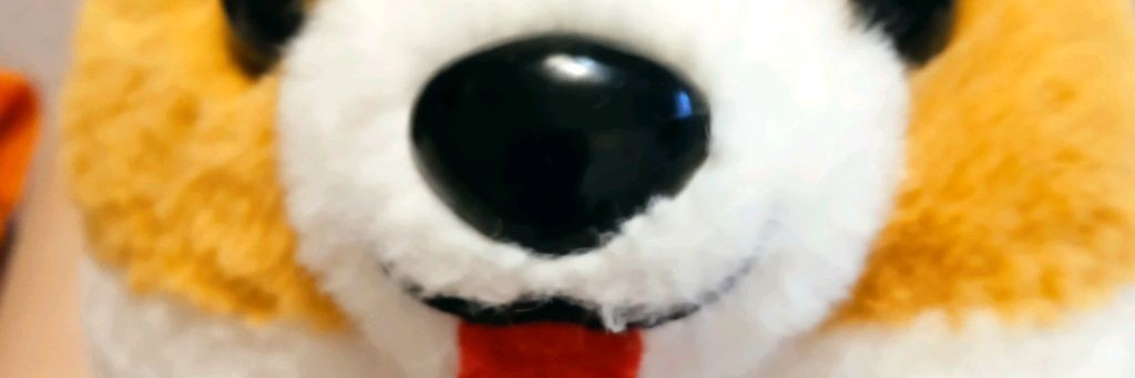 Акула На Кондицыях