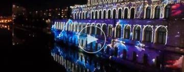 Кот-Пешеход