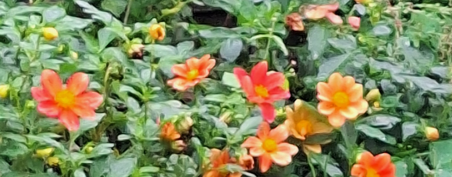 Мазепа Ирина Свяжу Себе Счастье.