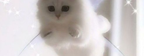 Игрульки и Рисунки