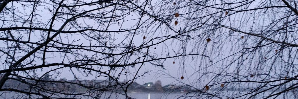 Маршал Фигурки от collectA Darwin [🔥]