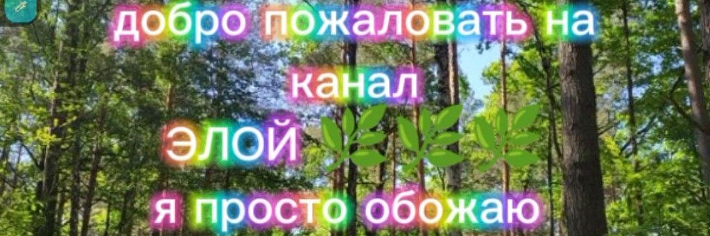 🌿~``•••|`|•~•ЭЛОЙ~~`•••|~``~🌿
