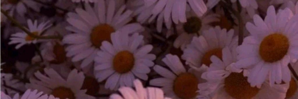 ☕×зимний_котик×🍪