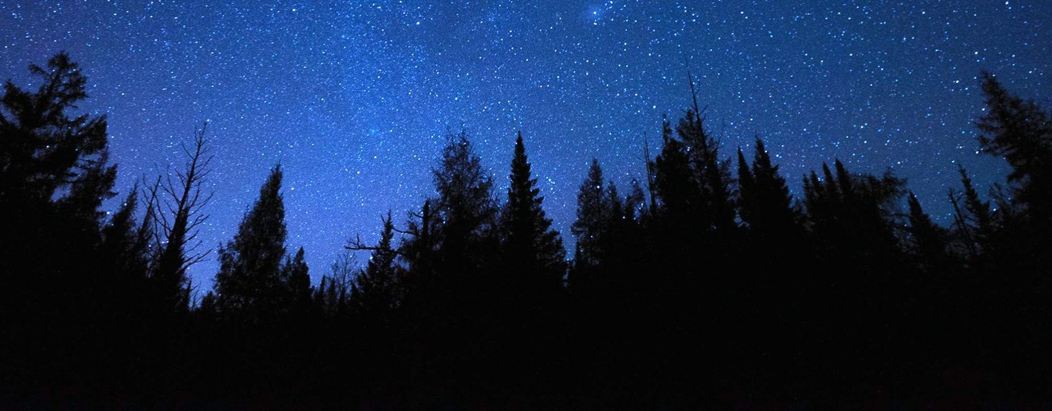 Галактий Таежник