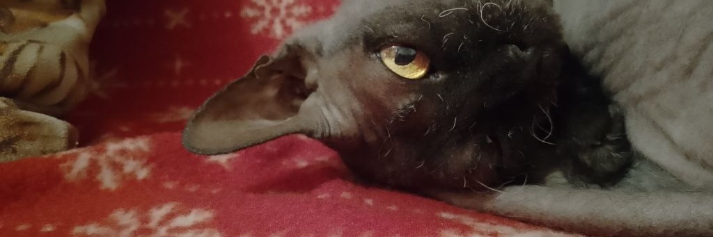 - Типо Муня, ок да? 🫵.