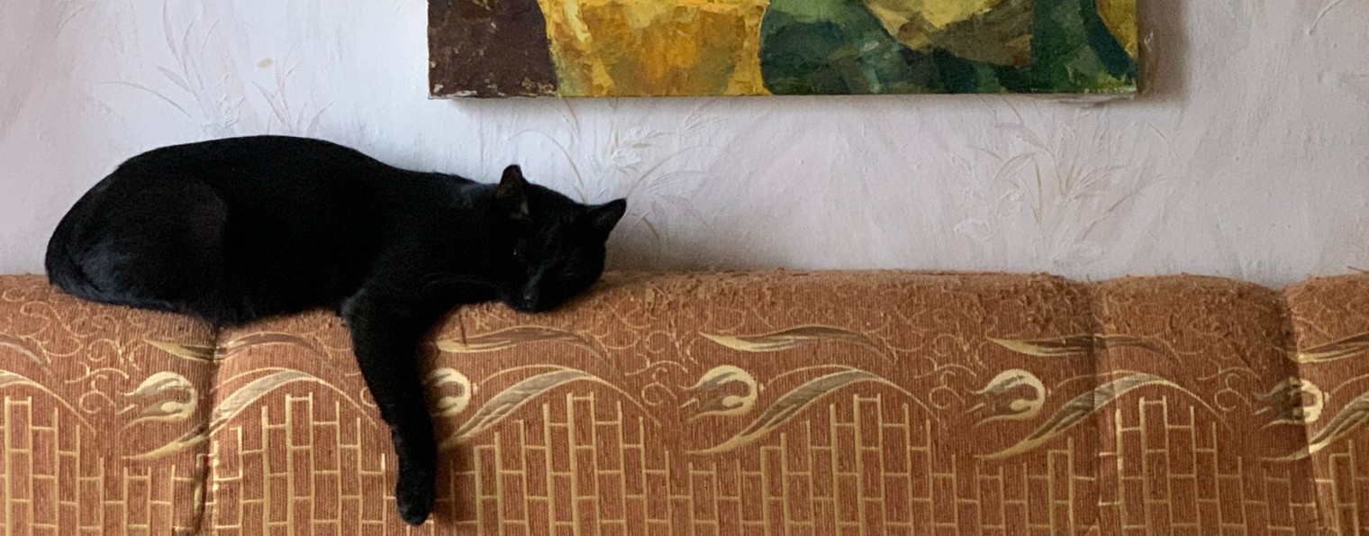 rutube_account_17857339