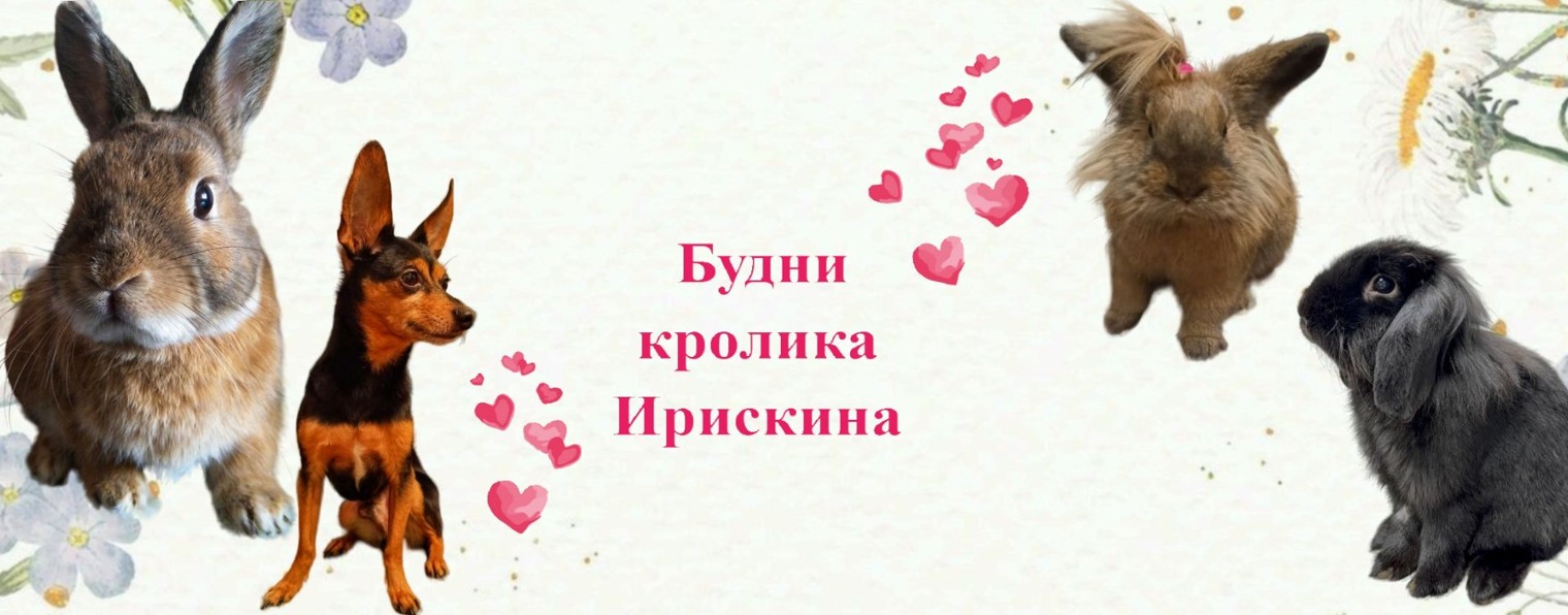 Кролик Ирискин