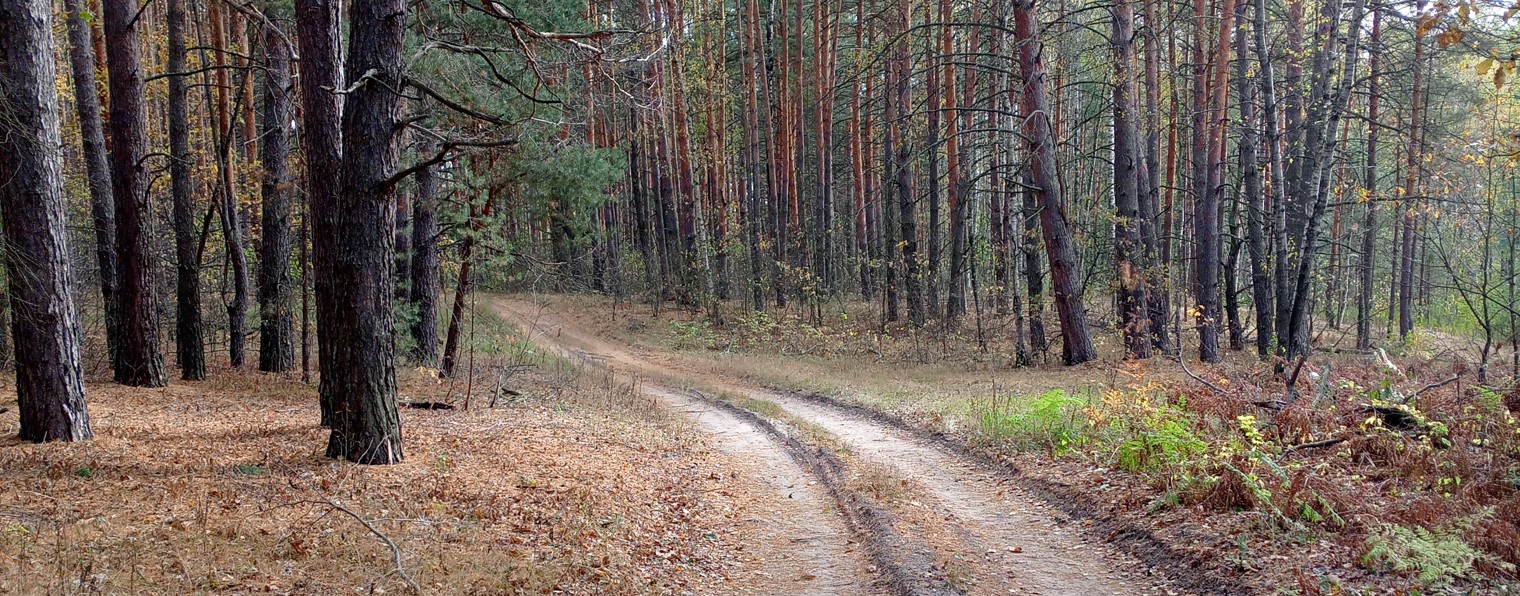 Одинокий Волк 62