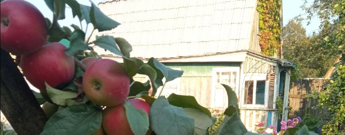 Моя пенсионная жизнь.🙃