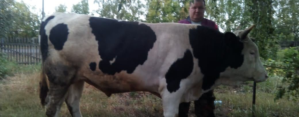 ЛПХ в Сибири