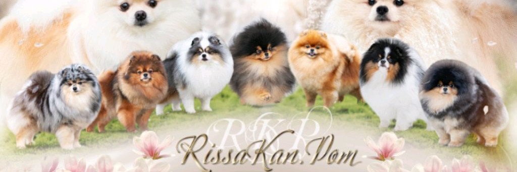 RissaKan.Pom
