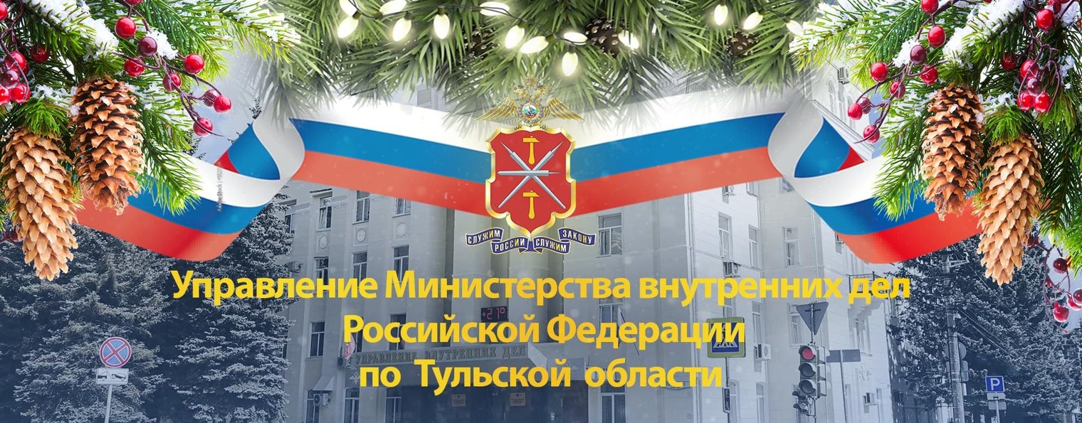 Полиция Тульской области