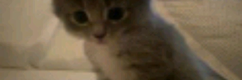 .🍩Пушистая🍩.