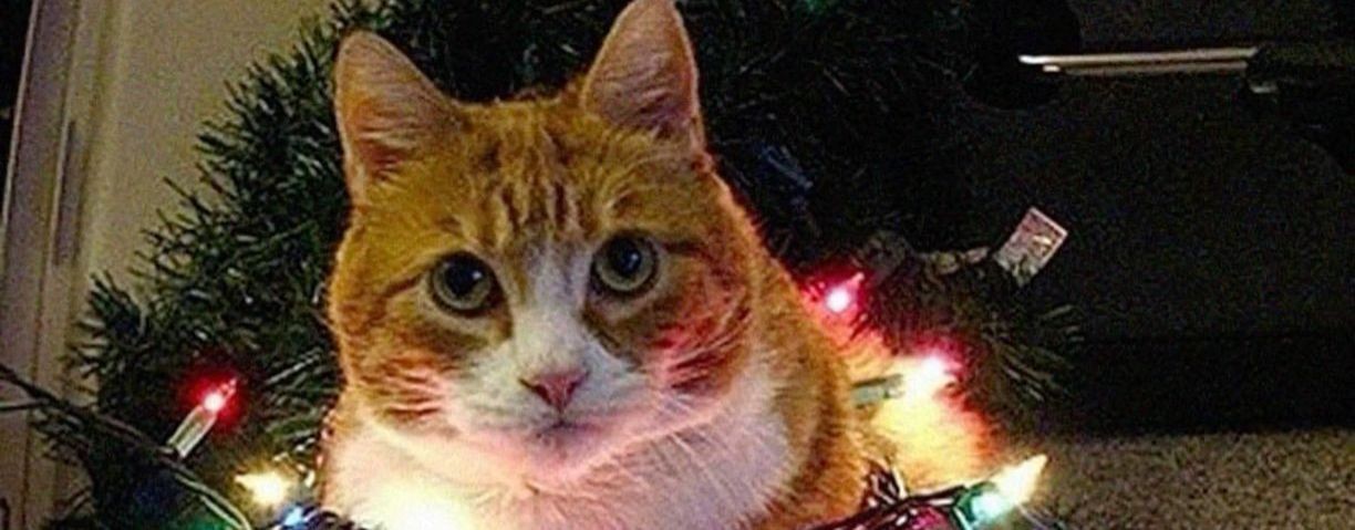 истории в играх