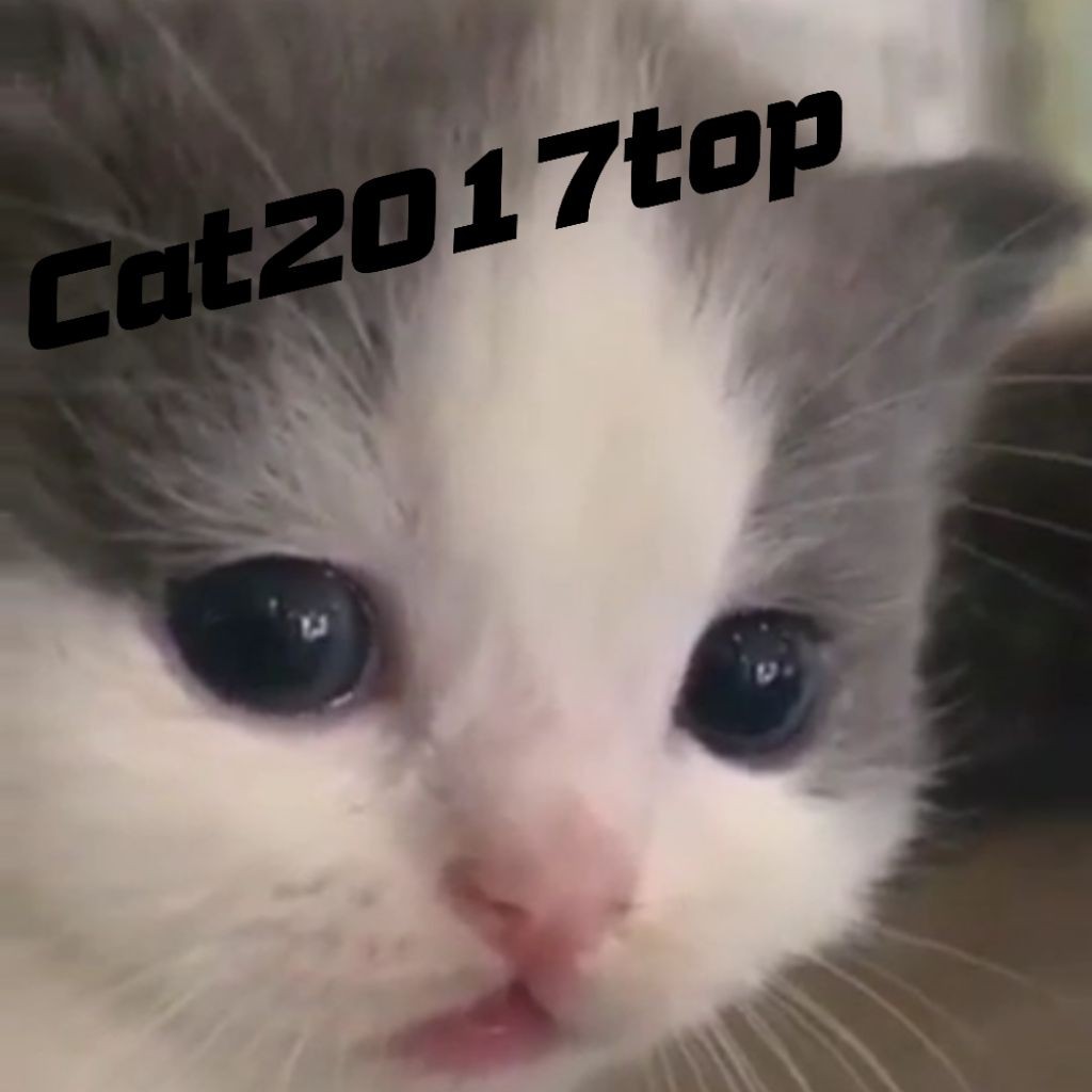 Cat2017top