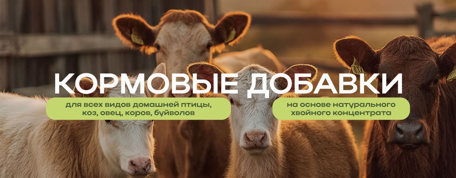 Донской Кормовой Баланс