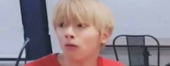 Я муха стей