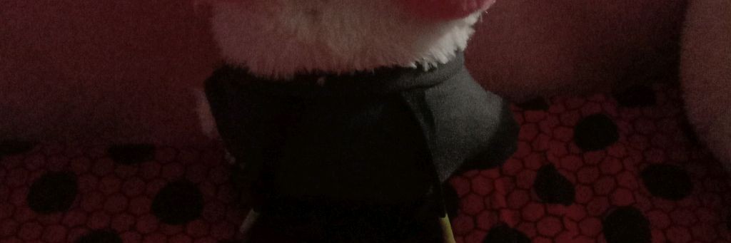 Саша И Соня♡♥