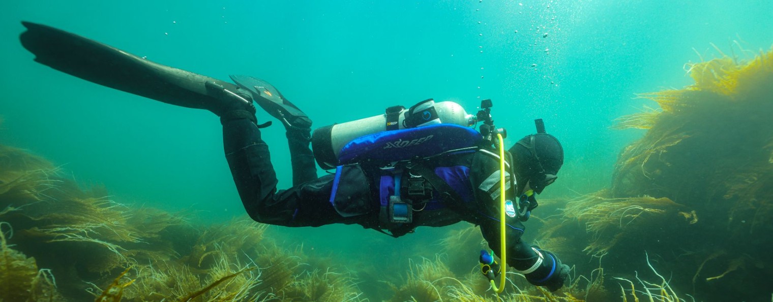 White Seal Diving Center