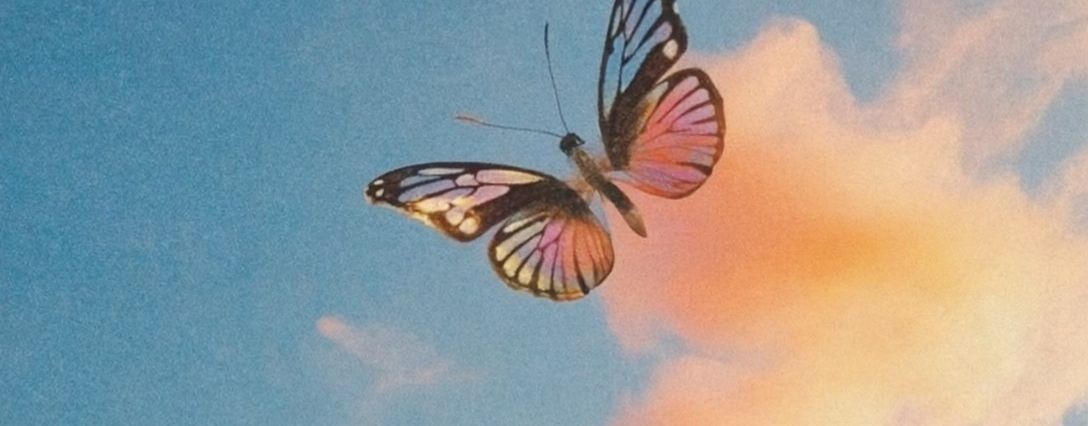 Живые истории