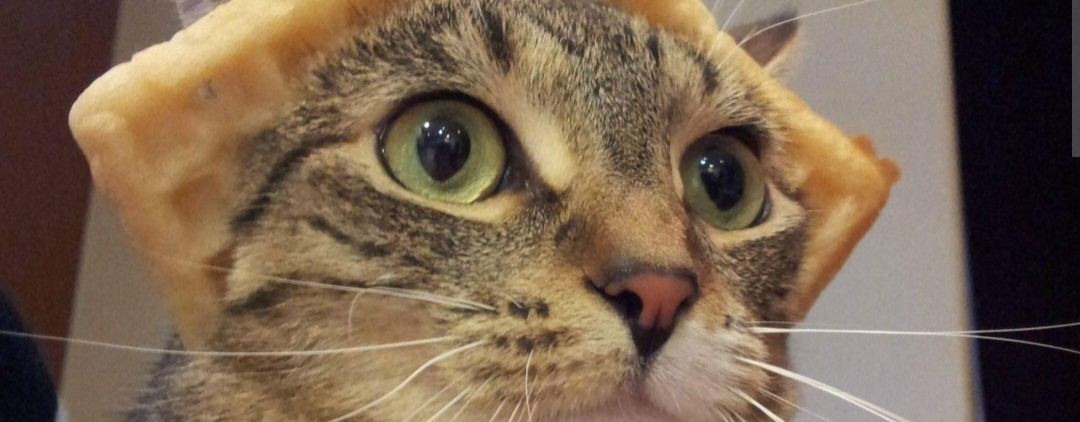 M@k$1m_pro + Хардкор про