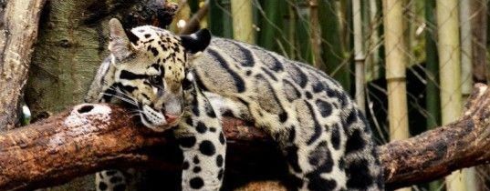 Виктория Шуськова