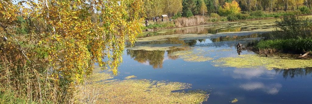 ЧЕТЕРЁХ  ГЛАЗИК :)