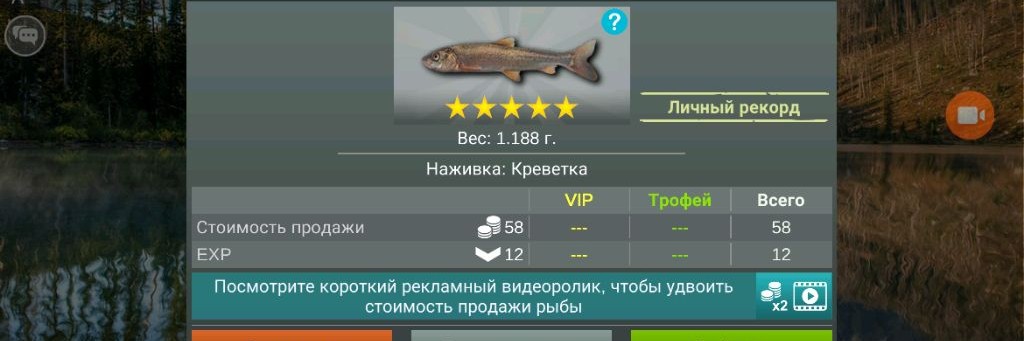 Канал По рыбалке и рыбалке в реальной Жизни