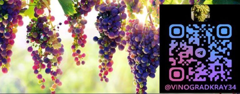 ВАУ (Виноград Андрея Удовина)